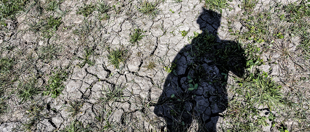 Climate (Content EN)